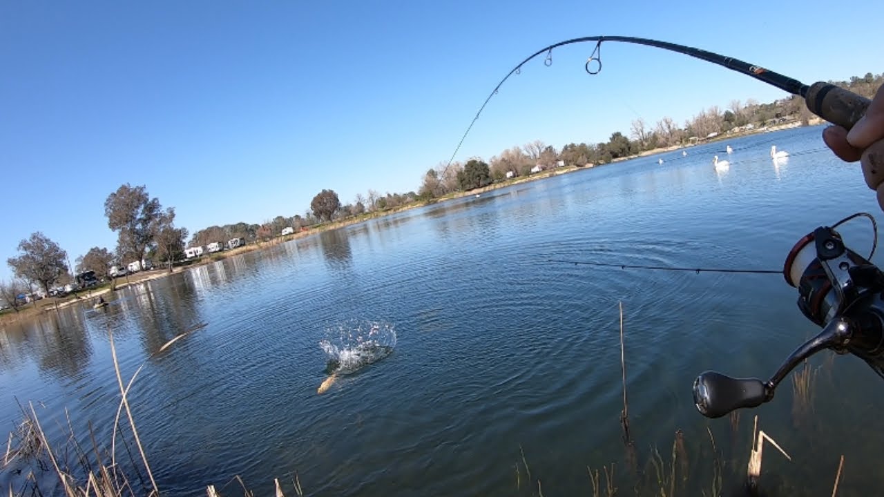 Non-Stop Lightning Trout Fishing with Senkos - YouTube