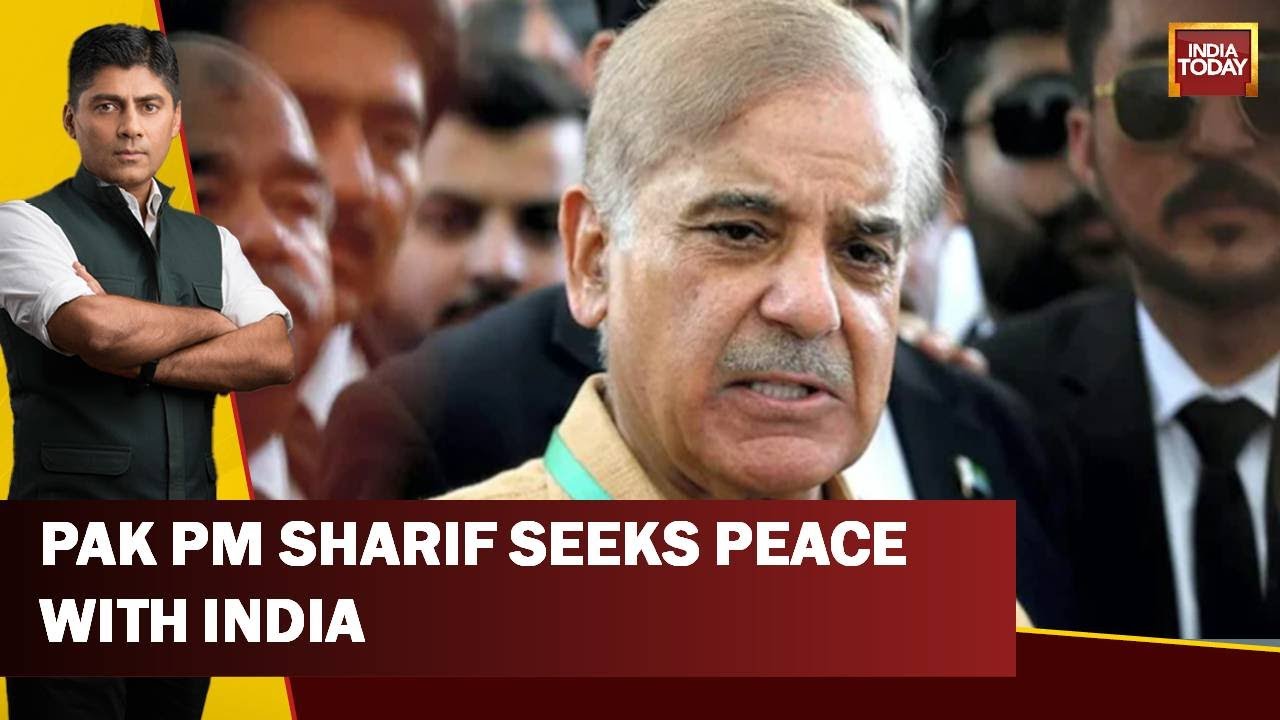 'We Really Believe In Peaceful Co-existence': Pakistani Journalist Hina ...