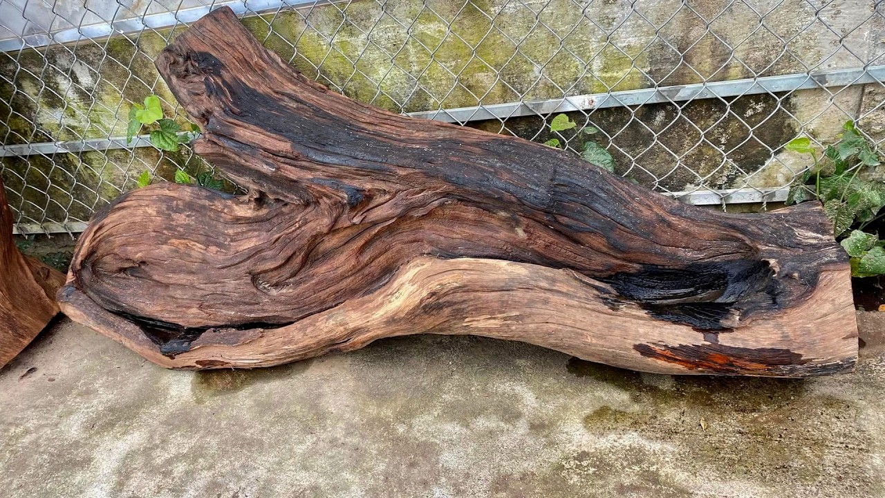 Ideas From Rotten Logs In The Garden // Luxury Coffee Table Design From ...