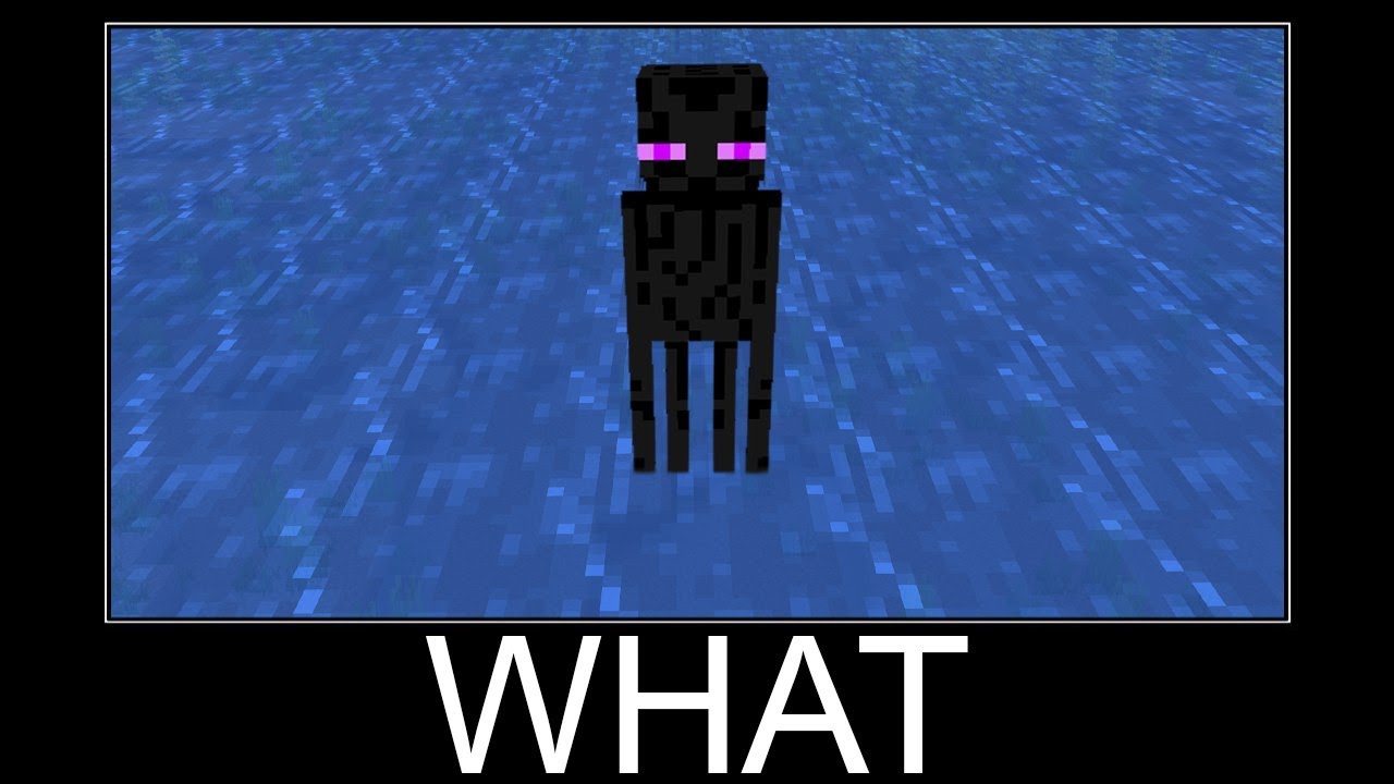 Minecraft WAIT WHAT meme 24/7 Livestream #475 - YouTube
