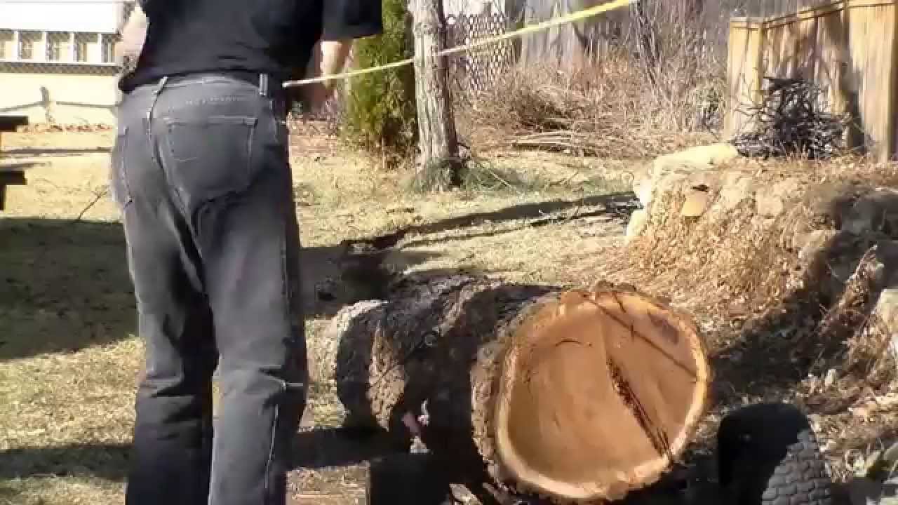 #10 Loading a Walnut Log with Homemade Equipment - YouTube