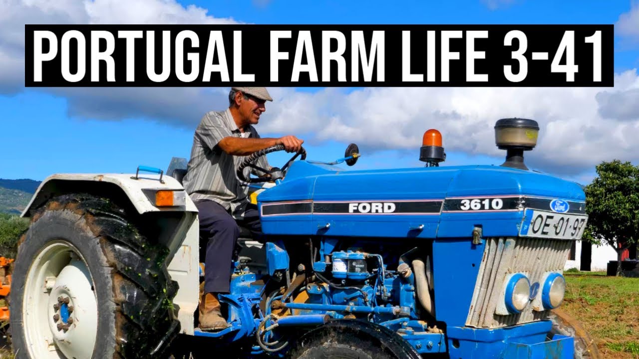 PCR Tests for Travel in Portugal | PORTUGAL FARM LIFE S3-E41 🚜🌞 - YouTube