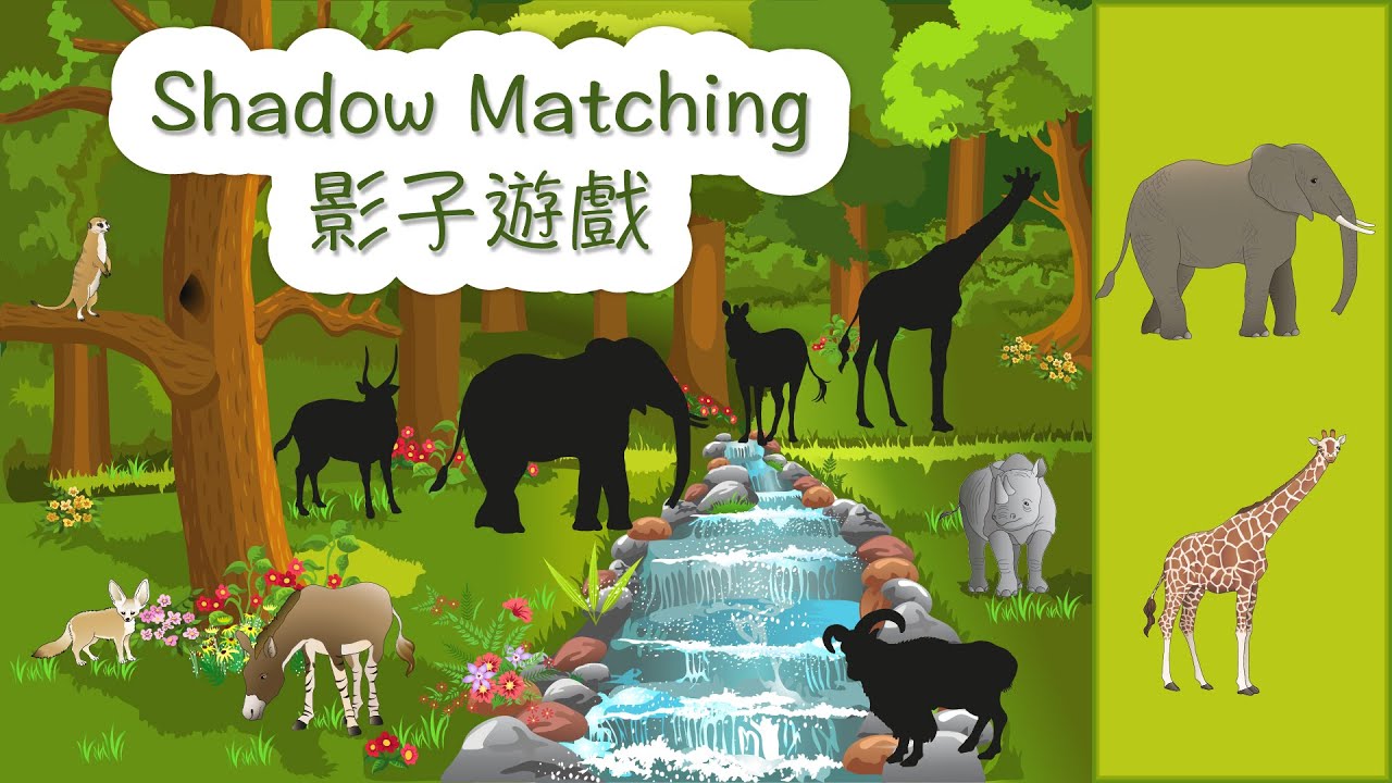 【Shadow Matching #8 Wild Animals】 Improving observation and ...