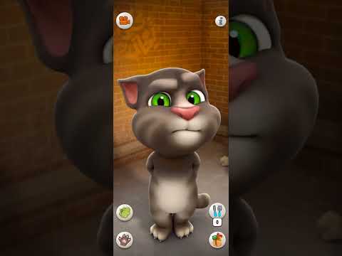 Talking Tom Cat Part 13774 #Shorts