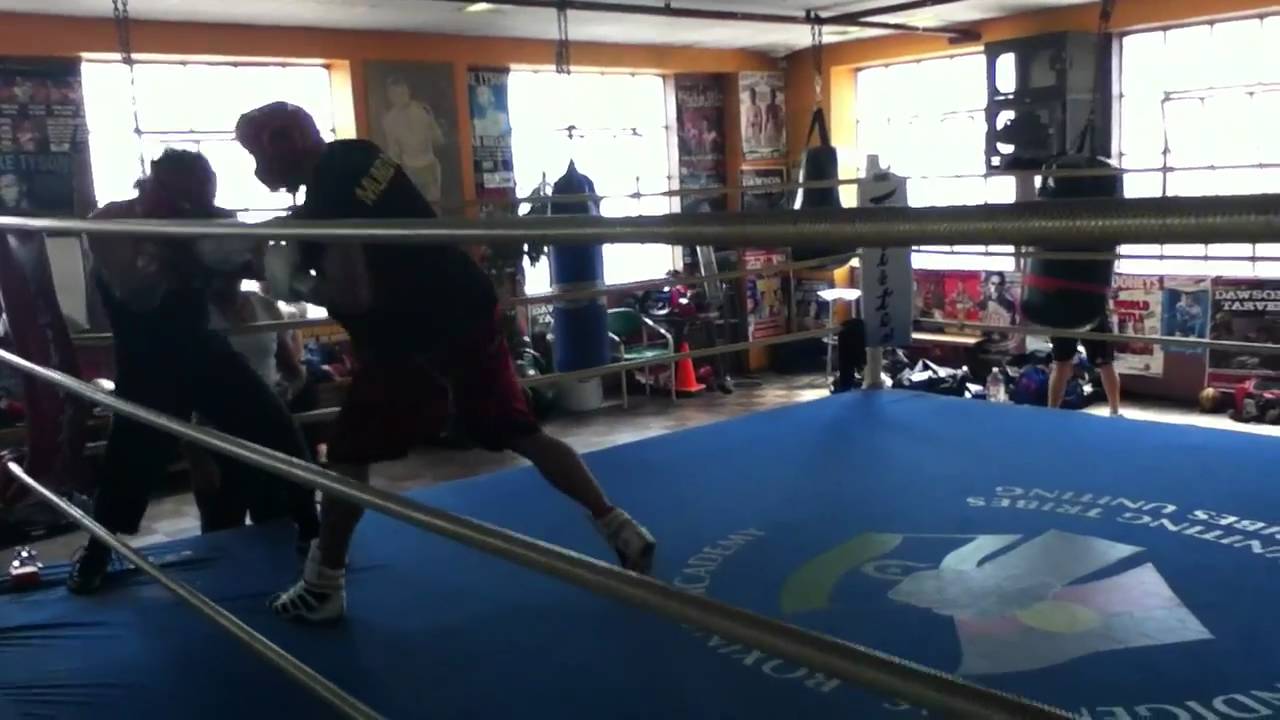 MUNDINE & TRIGGER ELOMAR SPARRING MMA UFC BOXING - YouTube