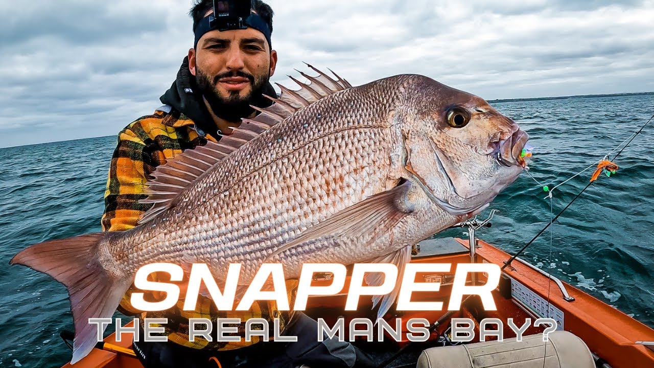SNAPPER in the Real Man's Bay? - YouTube