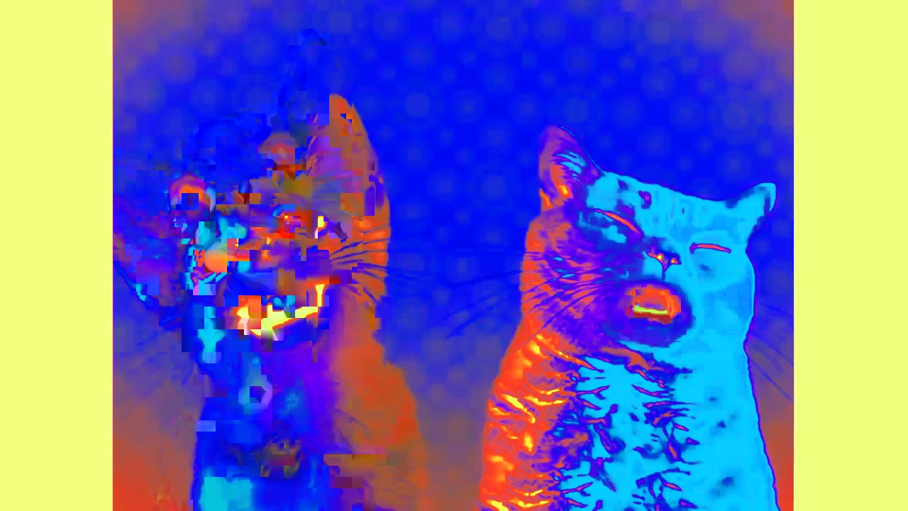 Preview 2 Numa Cat effects 4ormulator collection - YouTube
