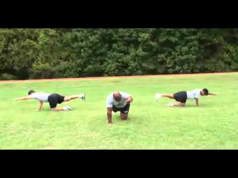 Quadraplex - YouTube