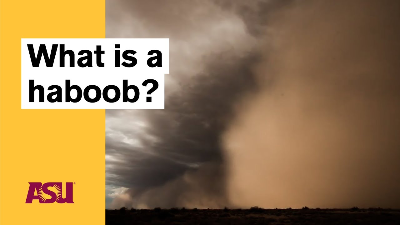 Haboob