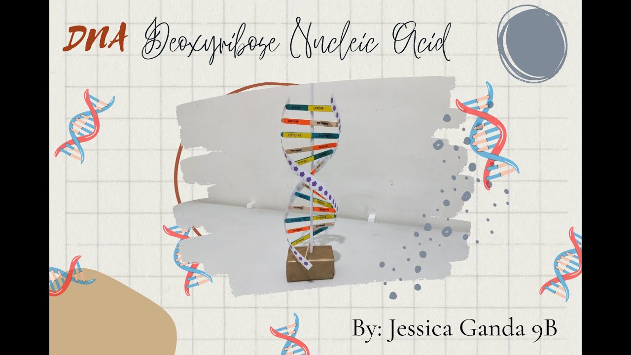 Cara Membuat Model DNA - Jessica Ganda - YouTube