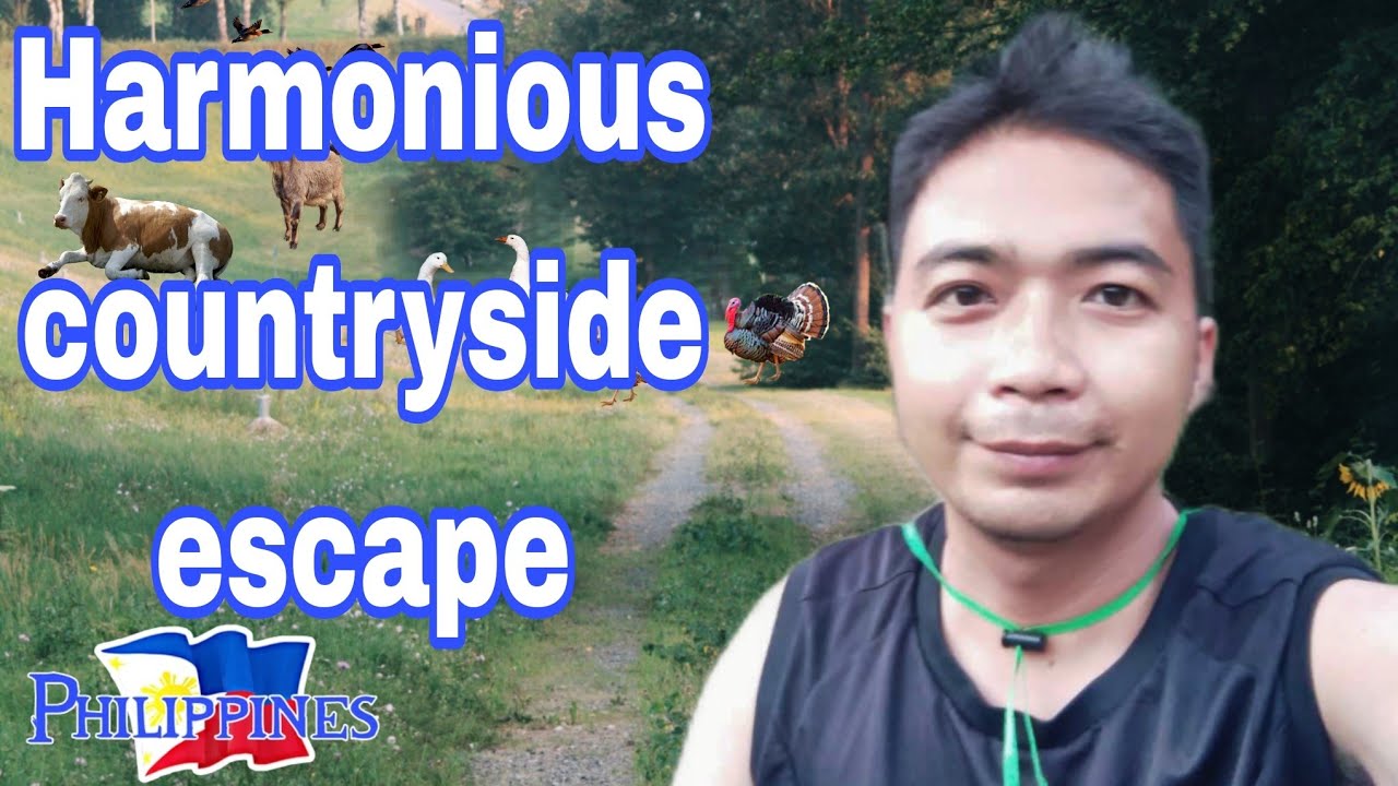 LIFE IN THE PHILIPPINE COUNTRYSIDE - YouTube