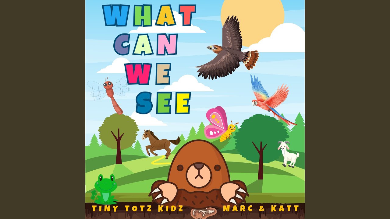 What Can We See - YouTube