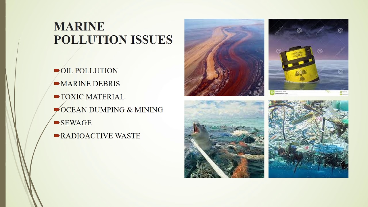 Seaport Management : Port & Maritime Issues - YouTube