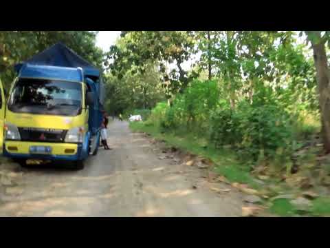 Melintasi Jalanan Menuju Desa Bangunrejo Kidul  kab.Ngawi kc.Kedunggalar  Jawa Timur.,