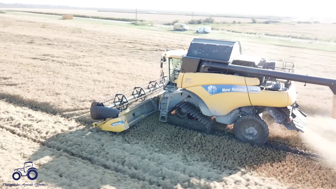 Moisson du Riz en Camargue 2K18 ©Photographe Agricole Gardois© - YouTube