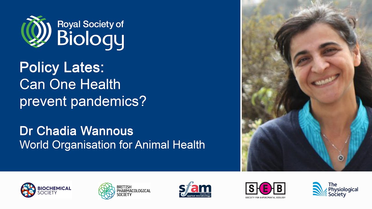 Dr Chadia Wannous | Can One Health prevent pandemics? | Royal Society ...
