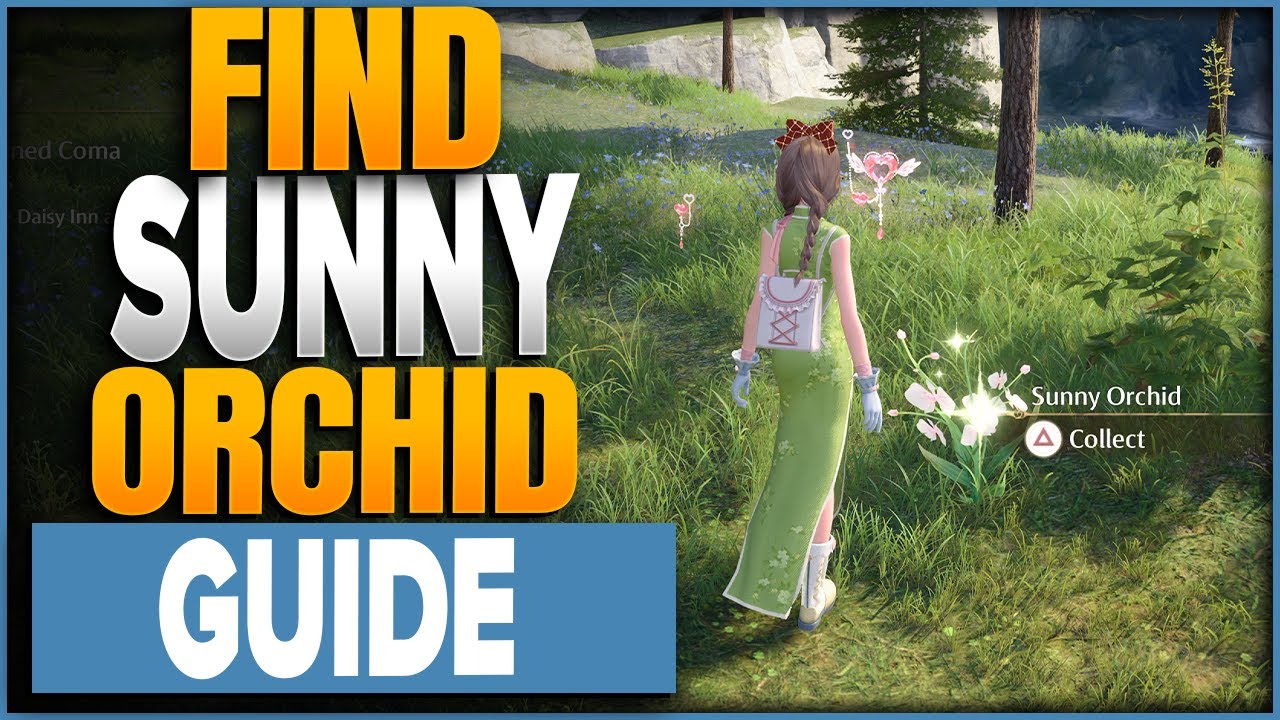 Where To Find Sunny Orchids In Infinity Nikki - YouTube