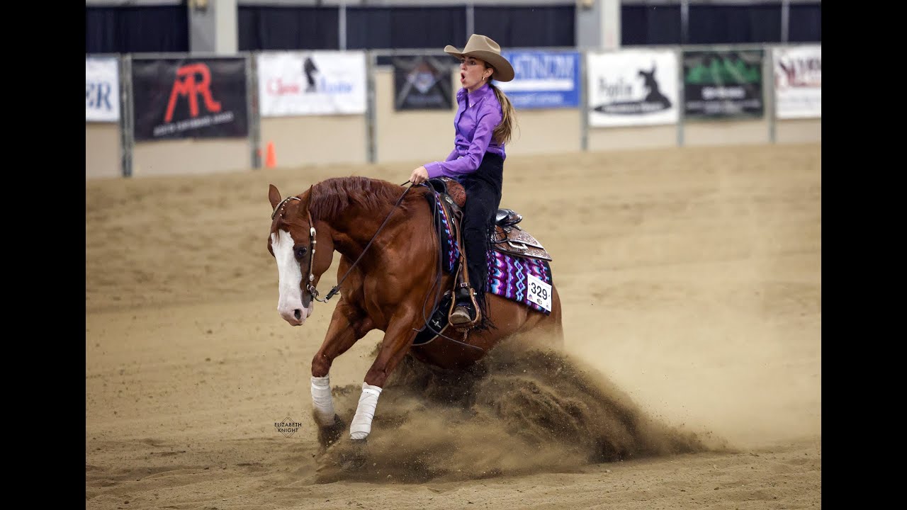 Youth 14-18 and Youth ARC Champion - Low Roller Reining Classic ...
