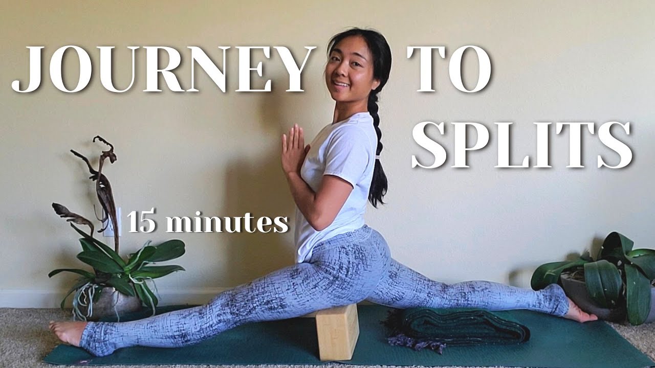 Hip and Hamstring Flexibility + Mobility | Lizard Lunge, Splits, etc ...