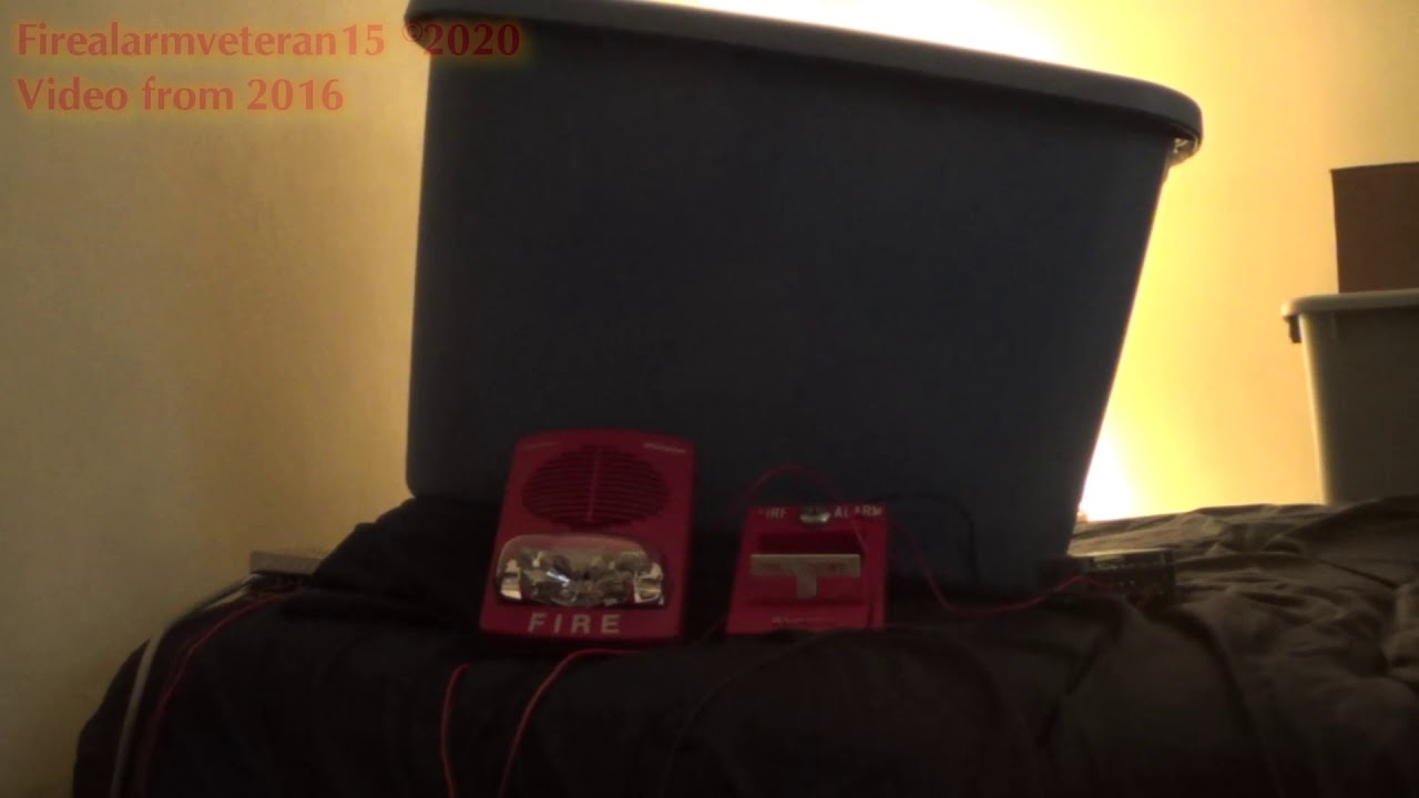 Simplex 4906-9151 TrueAlert Speaker/Strobe Test 4 - YouTube