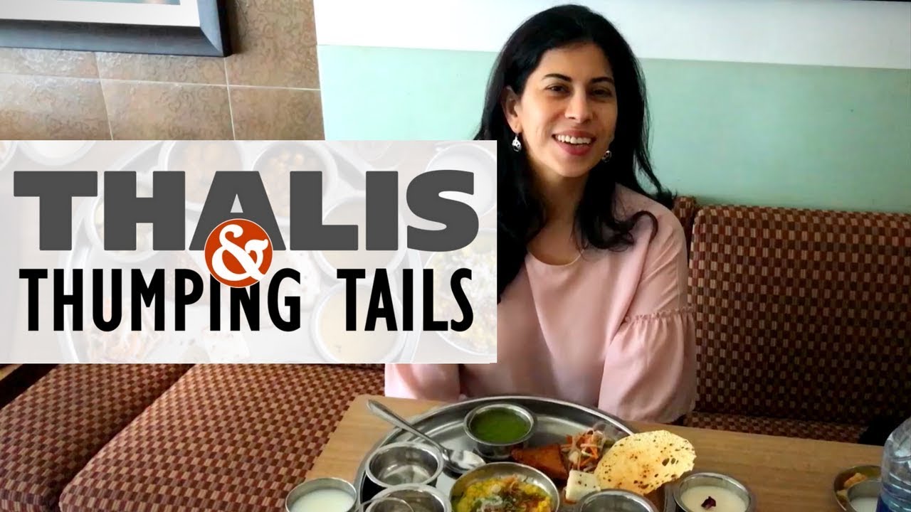 DOG FRIENDLY RESTAURANT - Thalis and Thumping Tails - YouTube