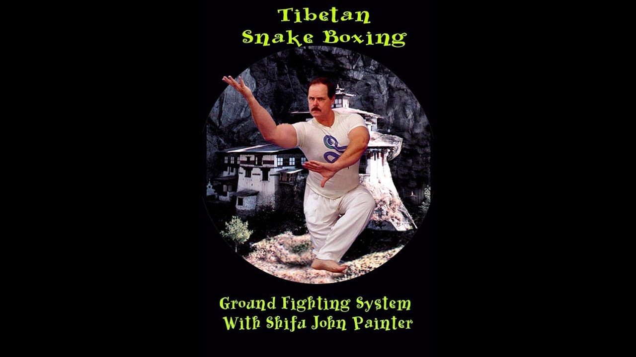 Preview DVD Tibetan Snake Boxing Ground Fighting - YouTube