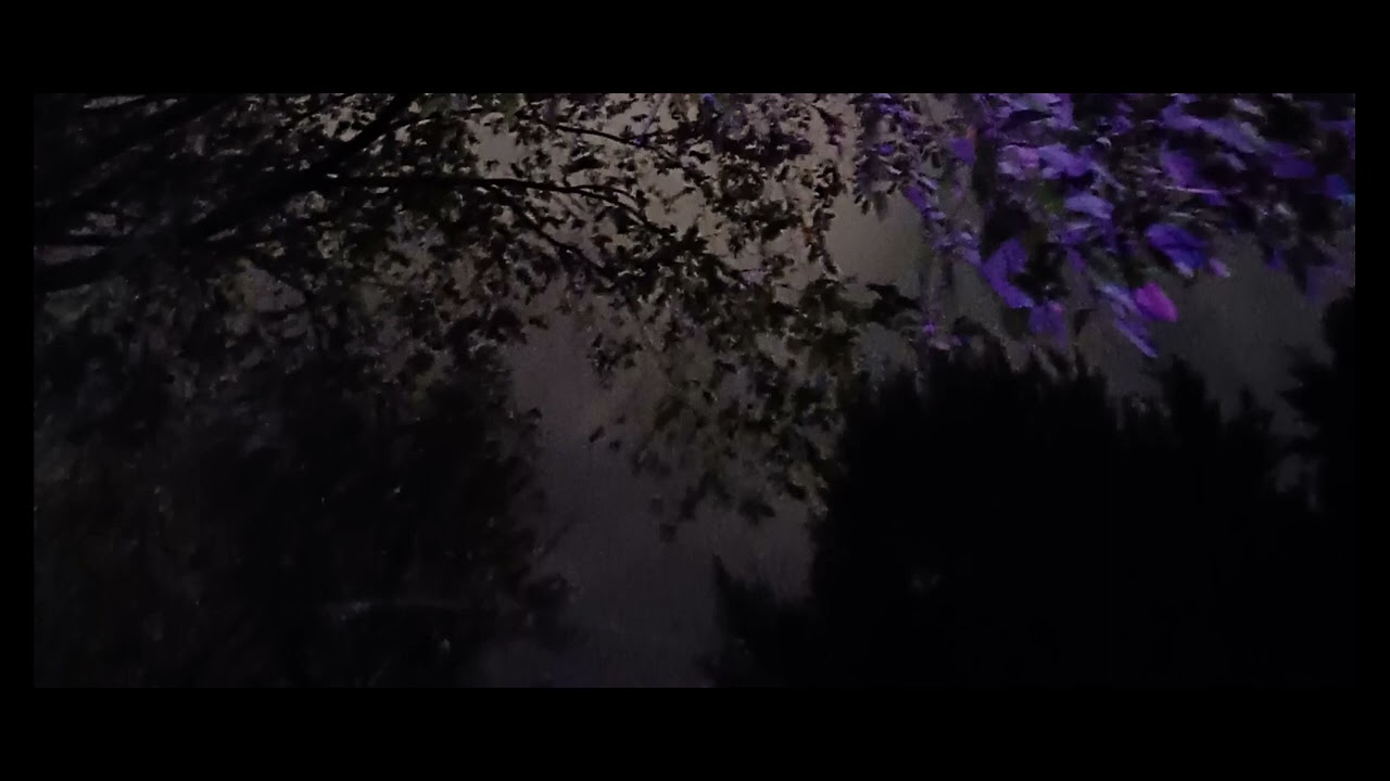 (Reupload) Fleetwire - Tantrums - YouTube