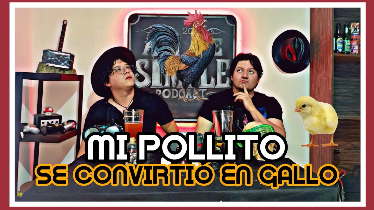 MI POLLITO SE CONVIRTIO EN GALLO - Así De Simple (podcast 26) - YouTube
