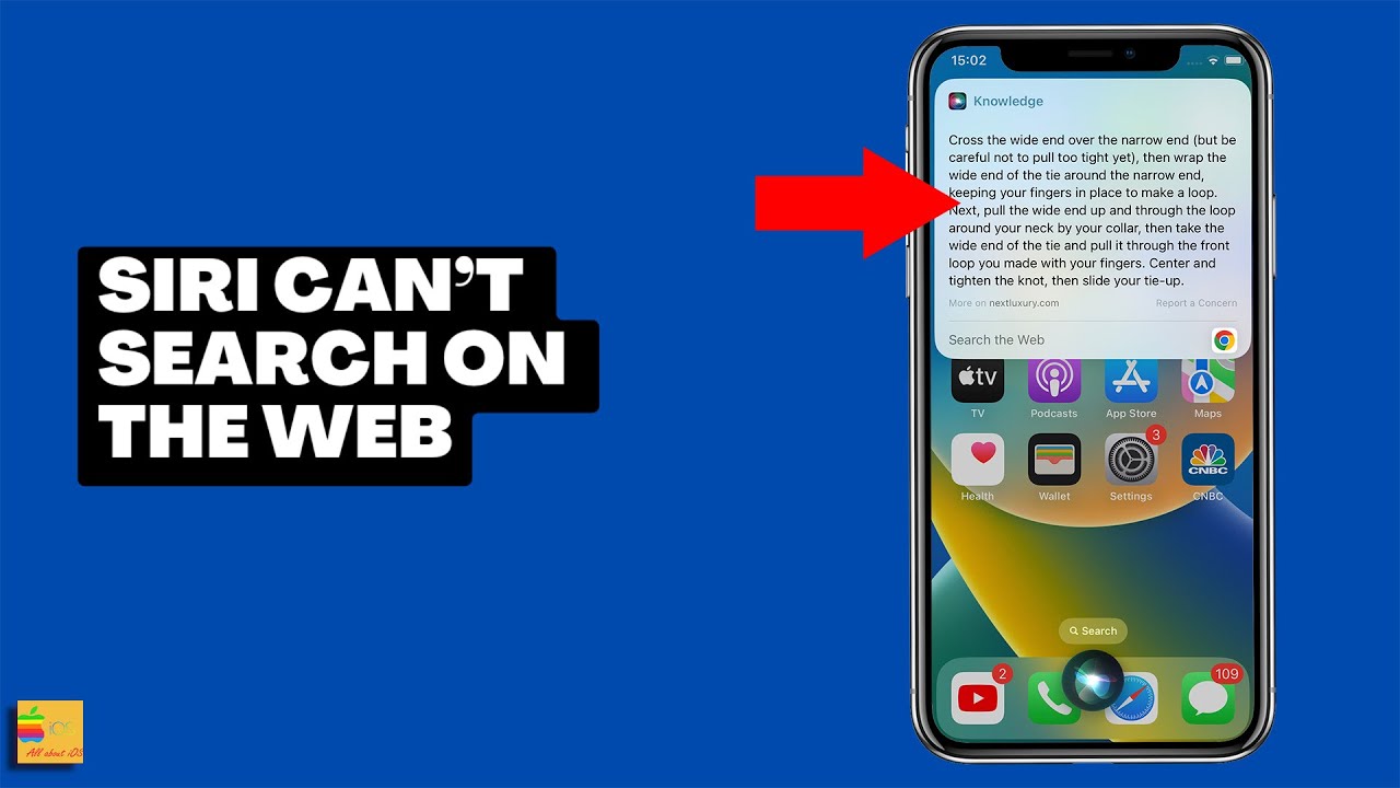 Siri can't search the web on iPhone | Allow Siri web search content ...