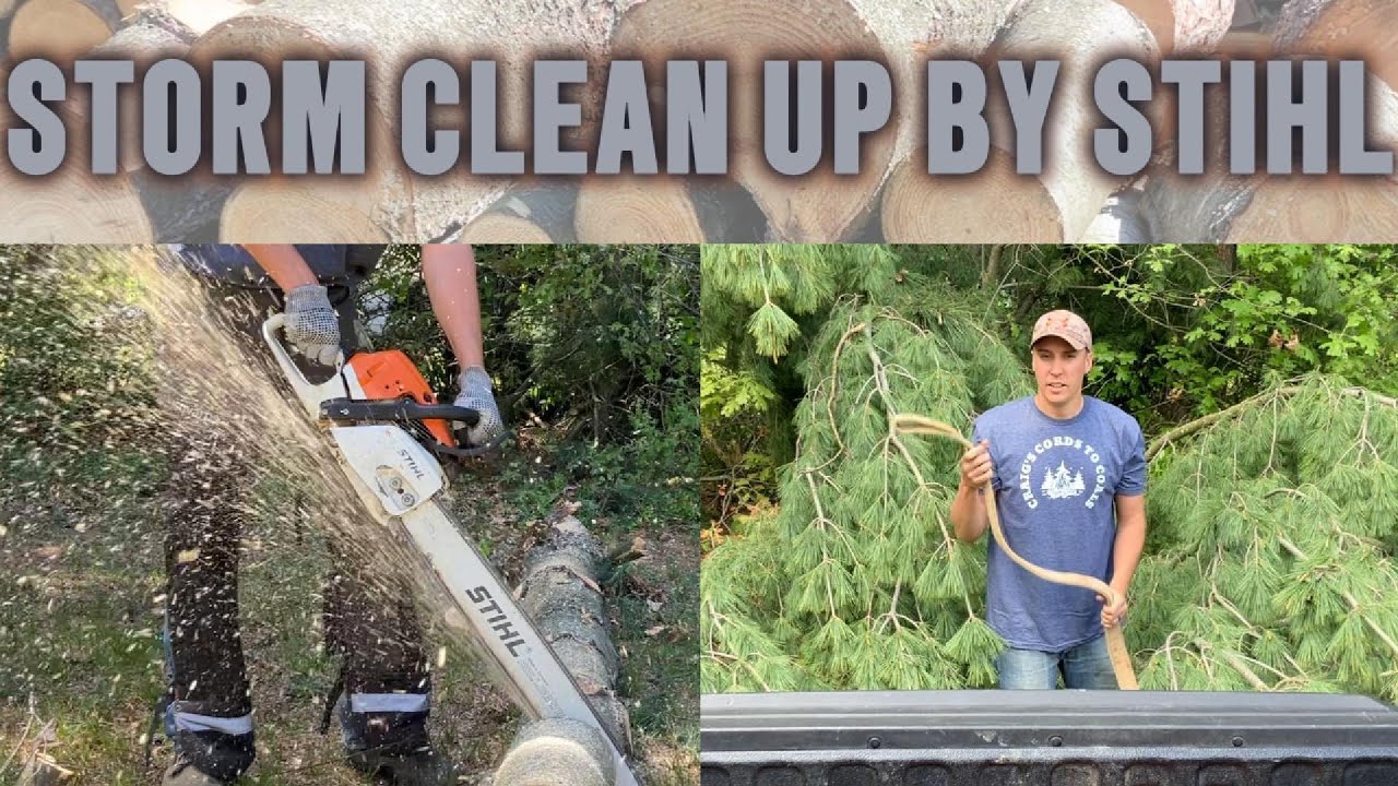 Stihl Chainsaw Storm Clean Up - MS261 with a 25 Inch Bar?! - YouTube