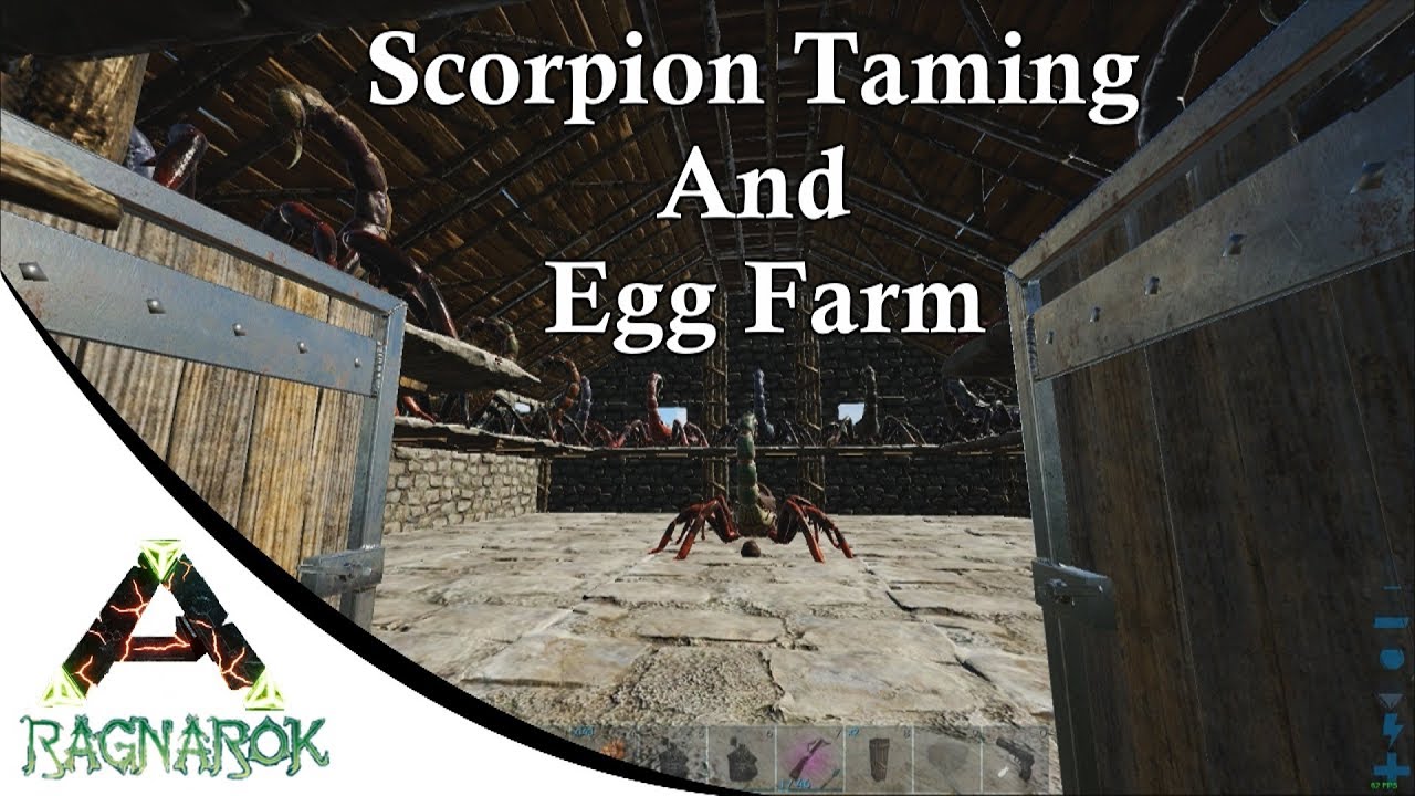 Scorpion Taming And Egg Farm | Ark: RAGNAROK E12 - YouTube