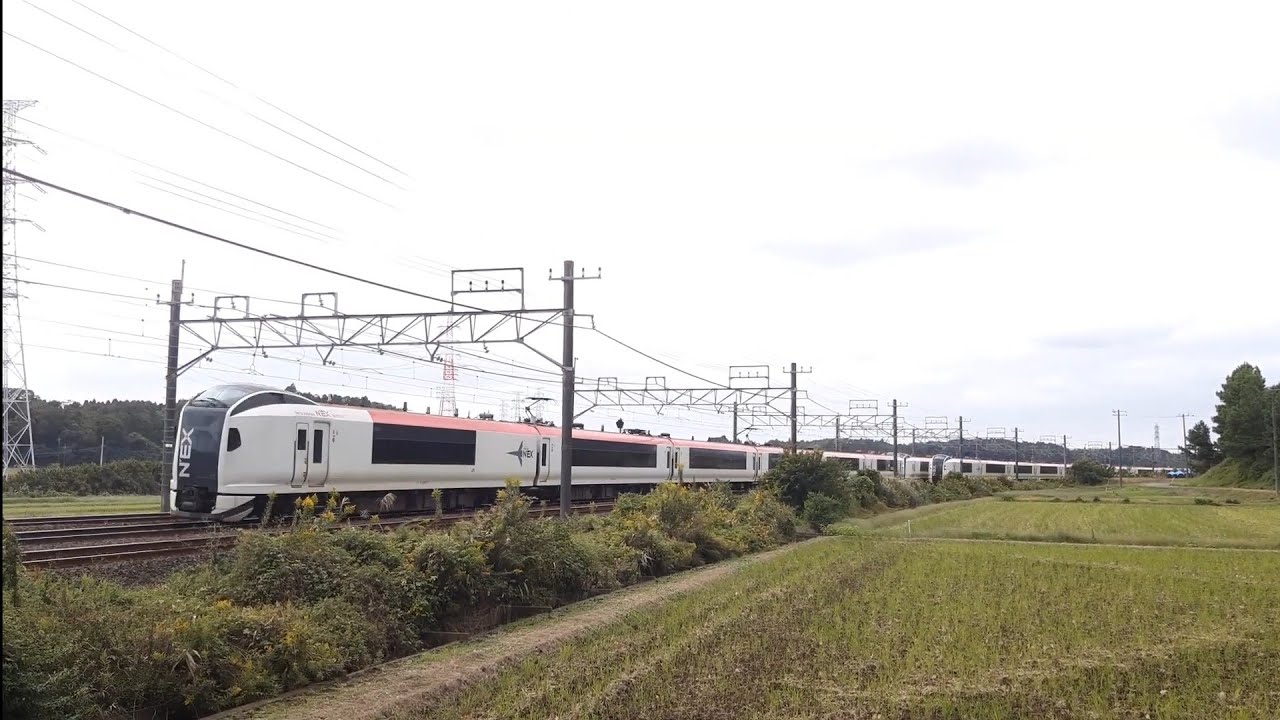 Narita Line (Sakura - Shisui) Ltd. Exp. Narita Express No. 20 for ...