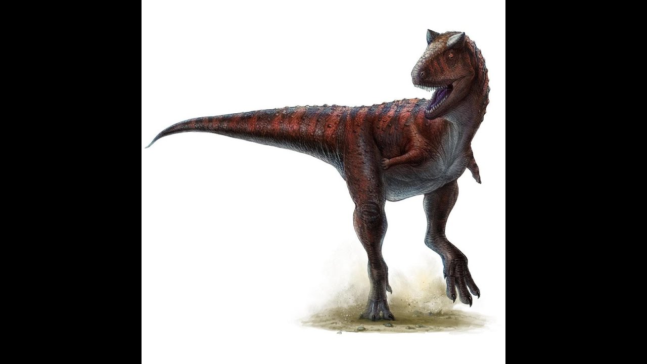 Carnotaurus, the Meat-Eating Bull - YouTube