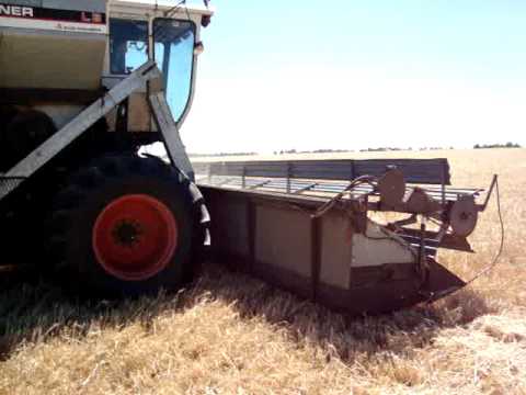 Gleaner L3 Harvesting Barley - YouTube