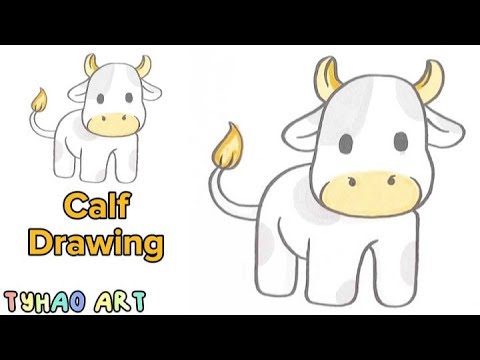 How to draw a Calf step by step | Calf drawing easy | TYHAO ART - YouTube