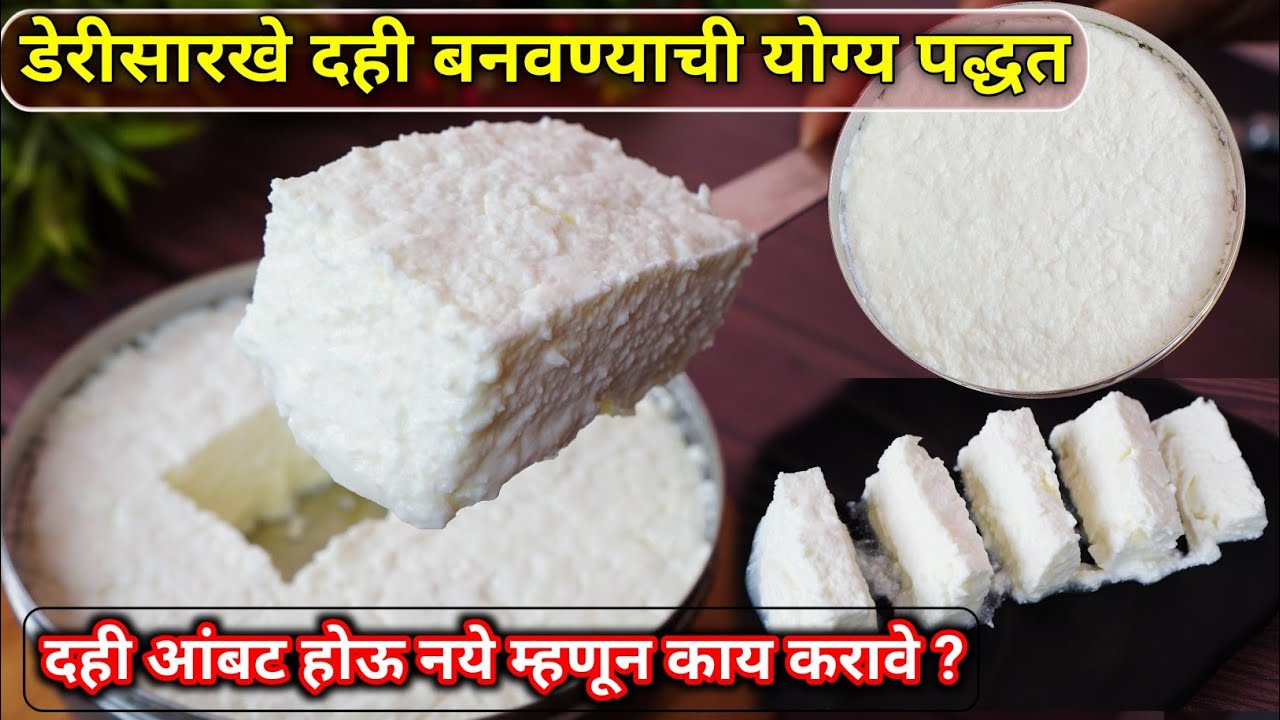 आता दूध गाईच असो वा म्हशीचं दही 100% घट्टच होणार कुणीही सांगितली नसेल ...