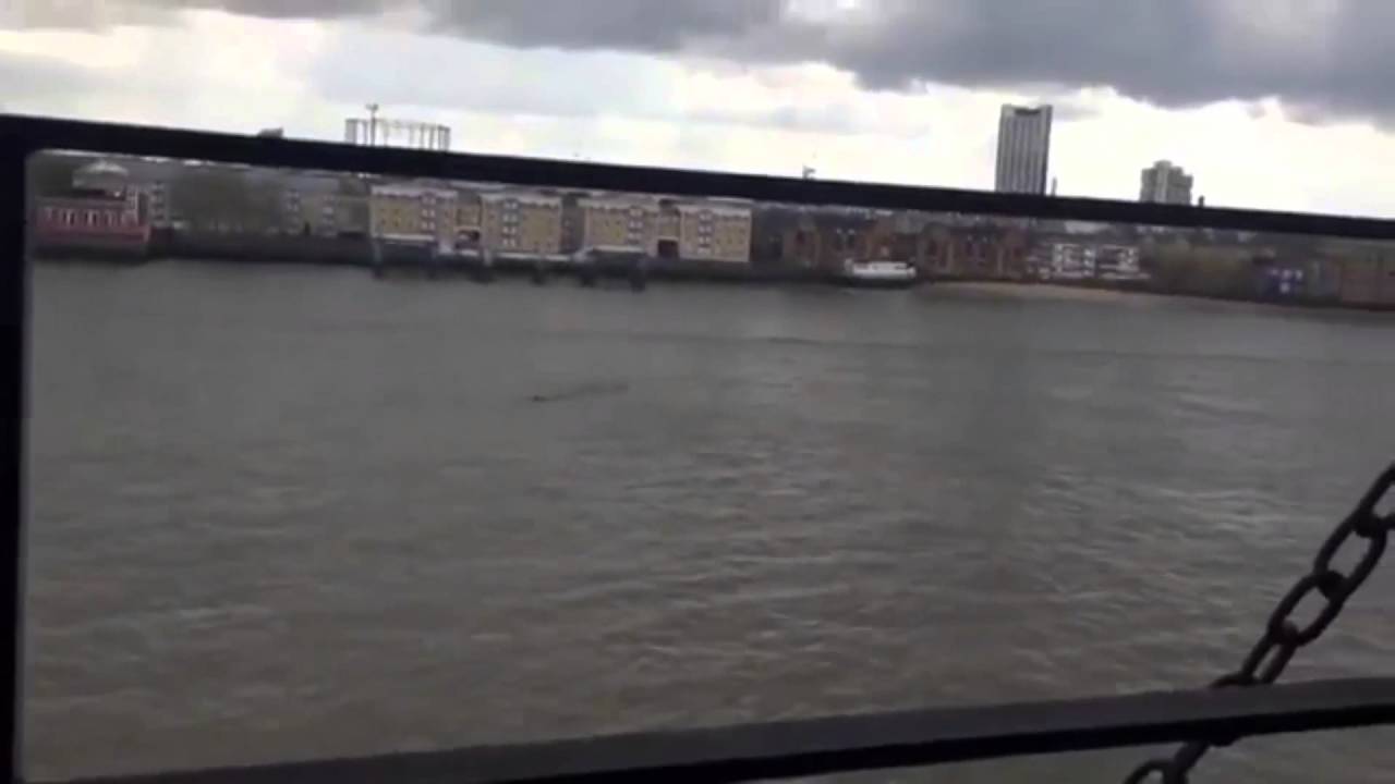 LOCHNESS MONSTER SIGHTING IN THE RIVER THAMES!! 13/04/2016 - YouTube