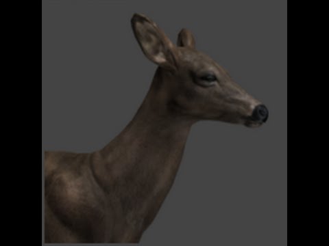 TheHunter Melanistic Whitetail deer - YouTube