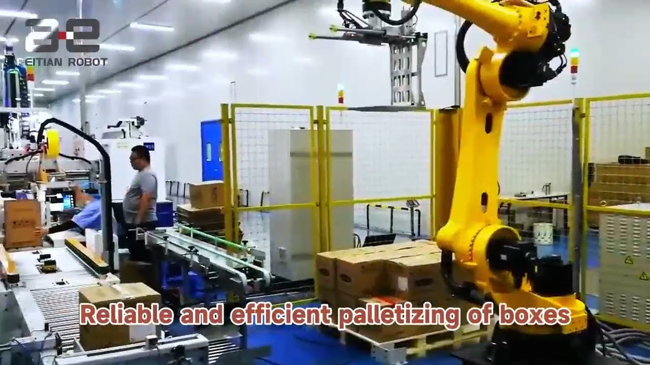Peitian Robot: Precise Palletizing for a variety of shapes and size - YouTube