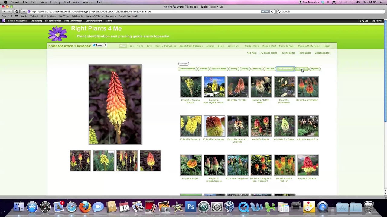 How to use the rightplants4me plant finder website - YouTube