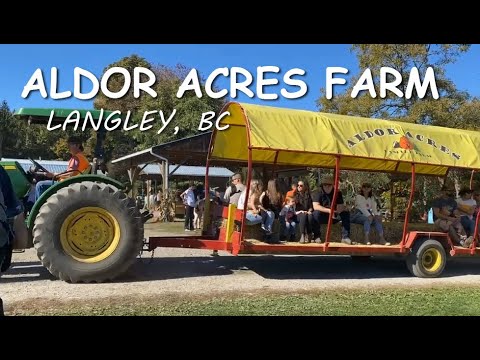 🍁 Late Upload Alert! Fall Fun at Aldor Acres Farm in Langley, BC! 🚜🌽 ...