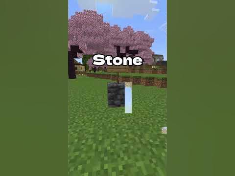 What's the RAREST block in Minecraft? #minecraft - YouTube