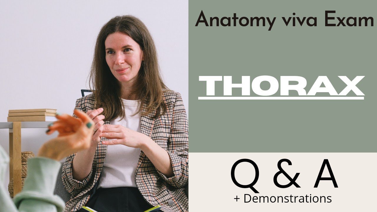 Thorax viva | typical rib | neurovascular bundle | thoracotomy | azygos ...