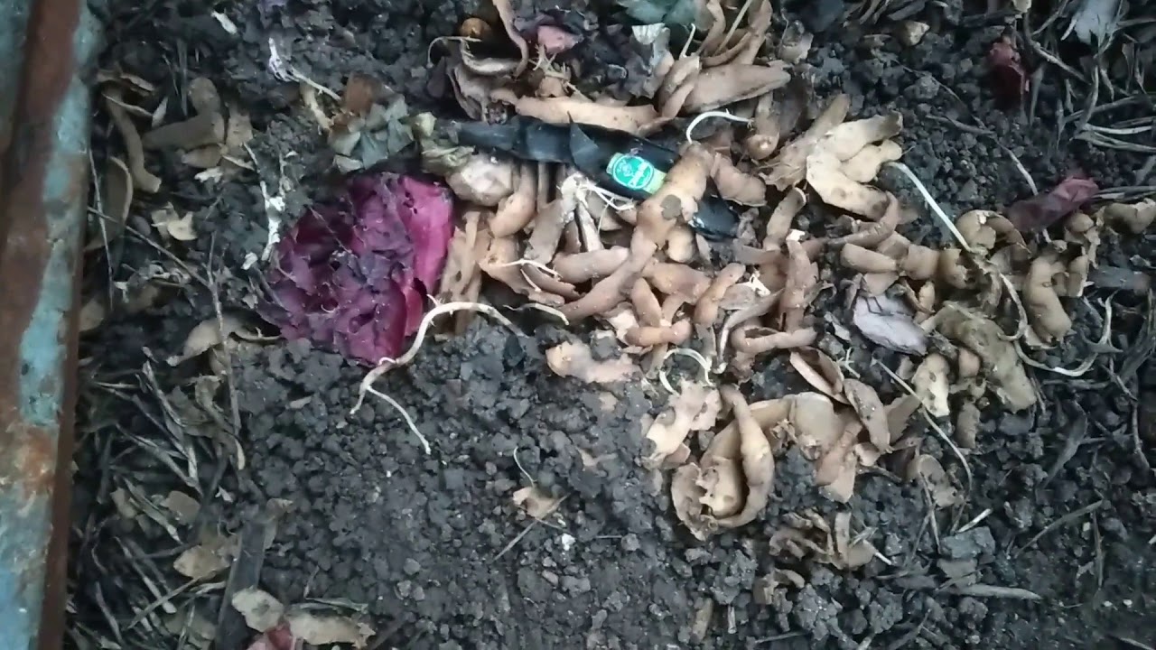 Πος να κανετε το πρωτο σας κομποστ🌱 - YouTube