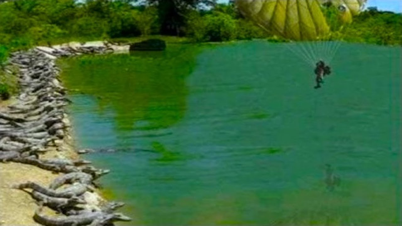 crocodile lagoon - YouTube