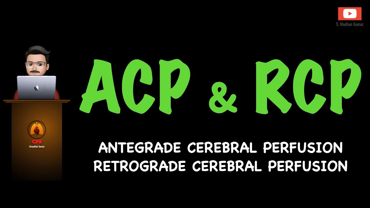 Antegrade Cerebral Perfusion (ACP) & Retrograde Cerebral Perfusion (RCP ...