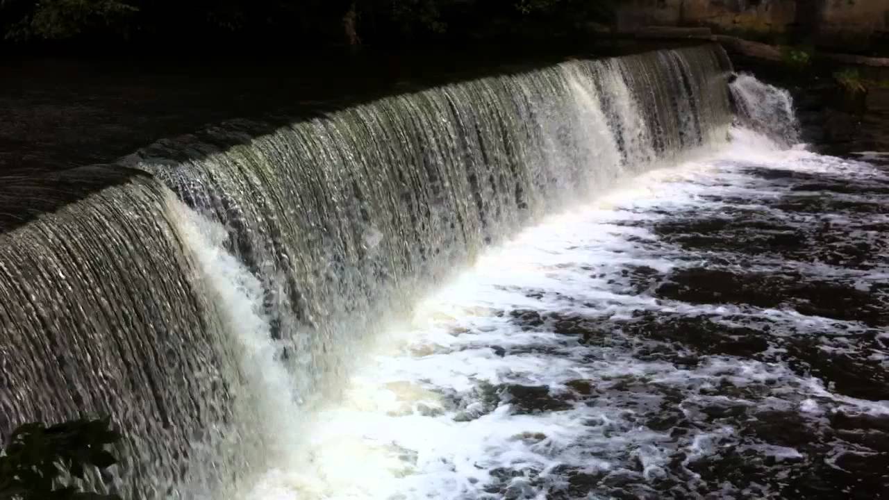 fish jumping on the river Almond Edinburgh - YouTube