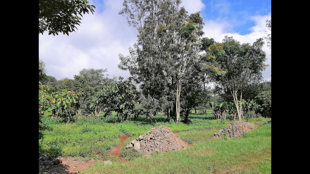 Fifty residential plots for sale in Ngong town in a controlled development - YouTube