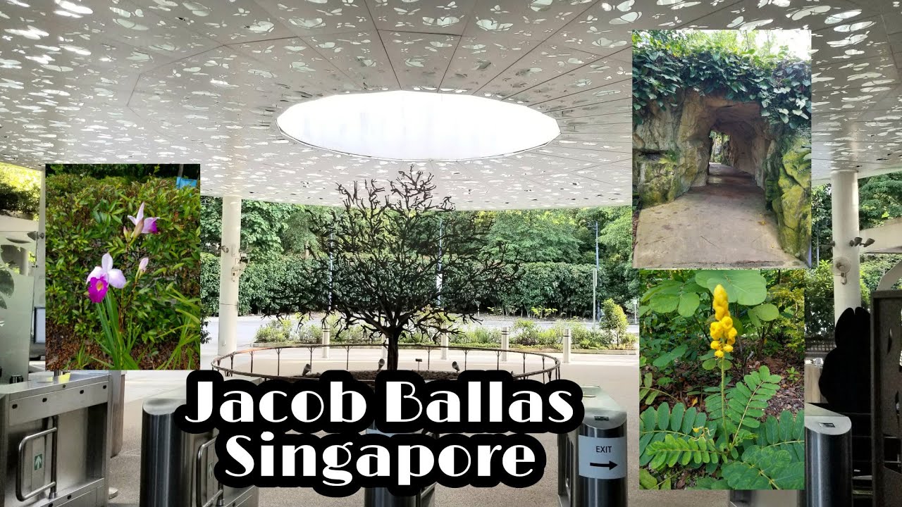 BOTANIC GARDEN | JACOB BALLAS SINGAPORE | Elcie in Singapore - YouTube