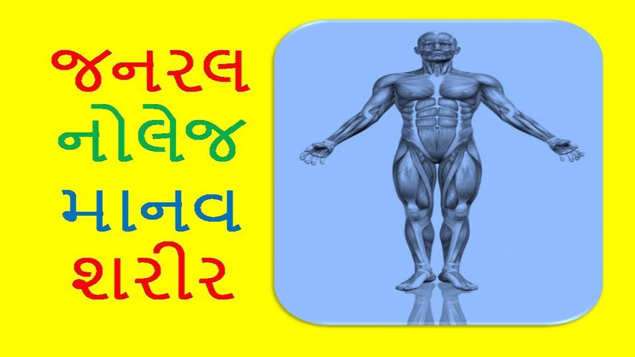 General Knowledge Human Body ( માનવ શરીર) - YouTube